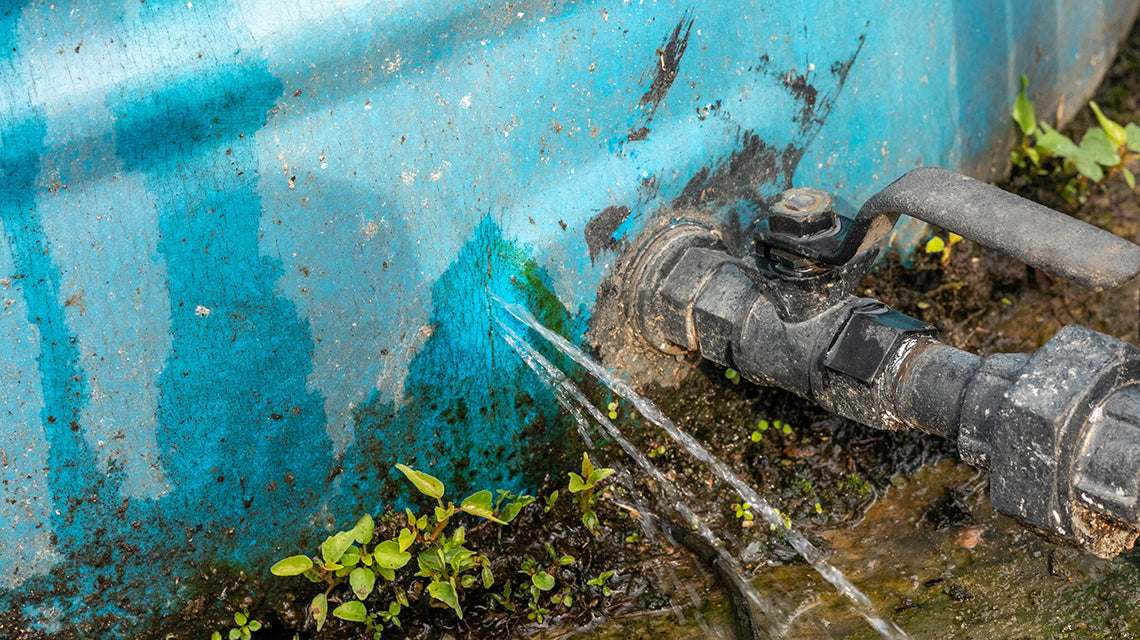 7 Risks With Buying a Cheap Rainwater Tank – Promax